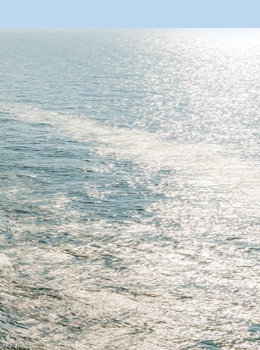 See our interactive Anti Rolling Gyro (ARG) video brochure - simply ...